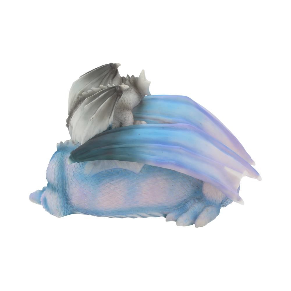 Dragonling Dreams 19.5cm : INFINITUM